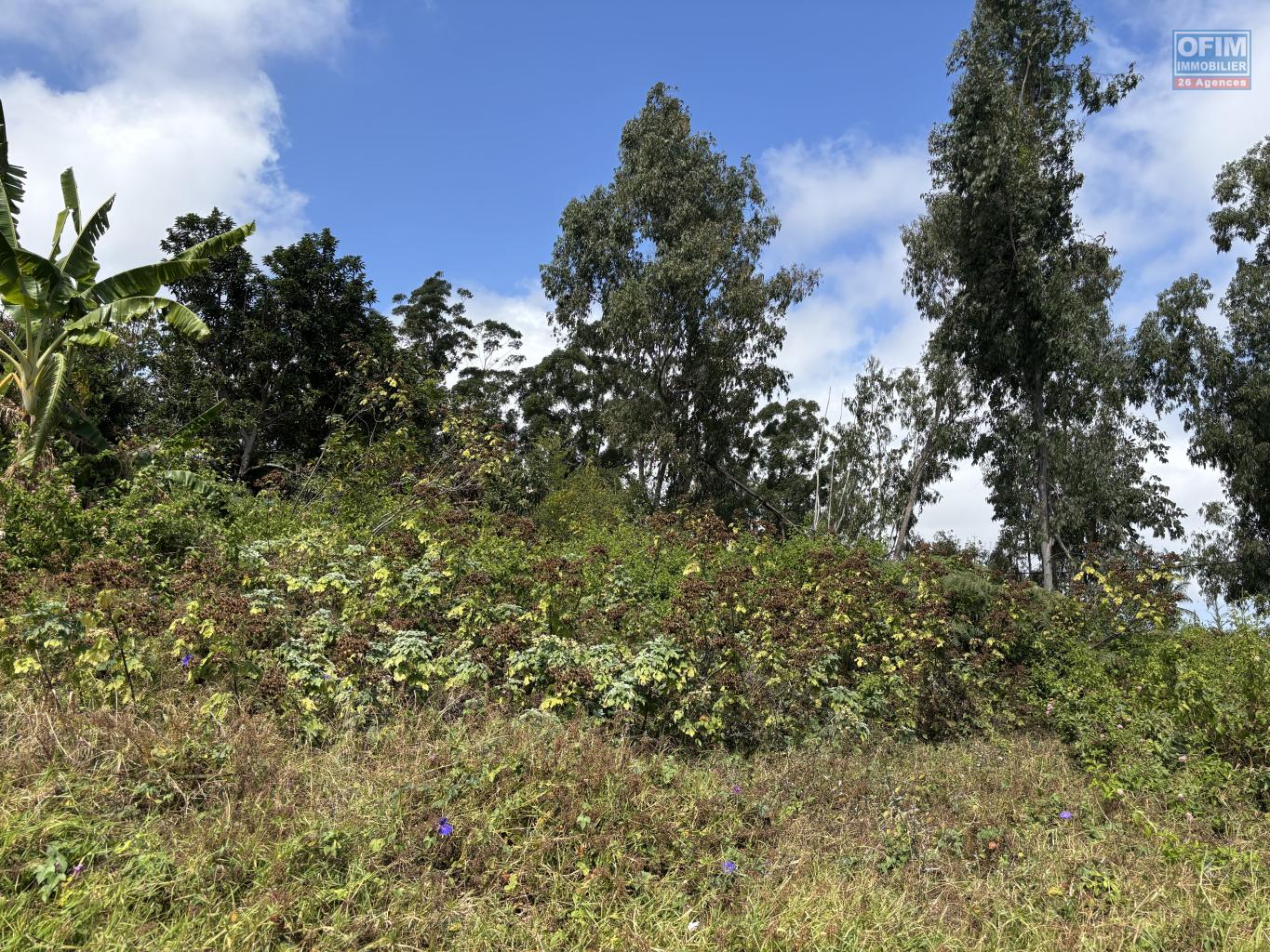 Vente - Terrain - TROIS BASSINS - A vendre à Trois Bassins très beau terrain de 1431 m2